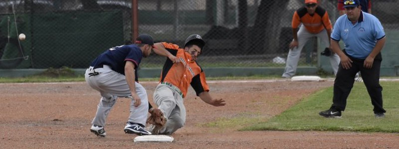 Dolphins - Daom, la final de la Summer Cup - Nuevo Diario de Salta | El ...