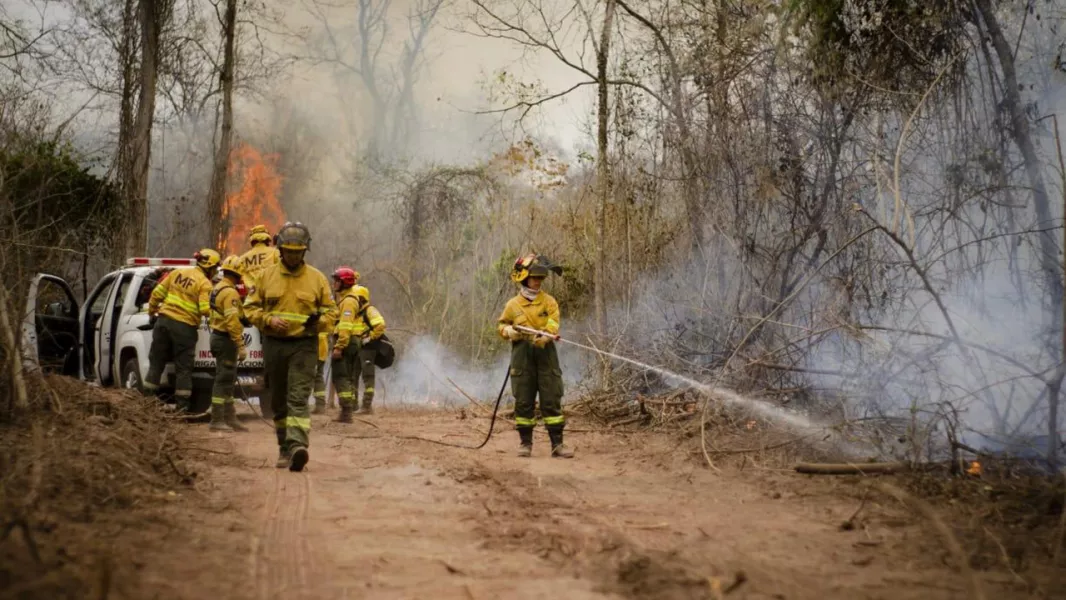 Realizan un amplio operativo en el norte para sofocar incendios - Nuevo ...